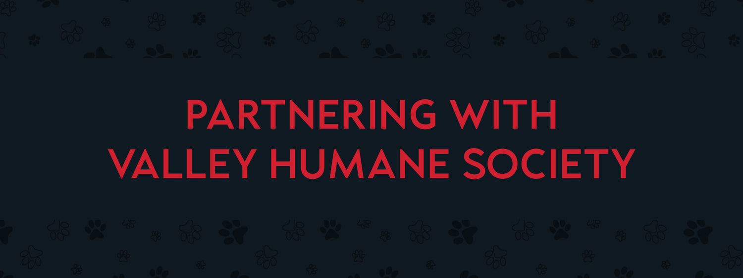 Valley Humane Partnership | BIRDIE